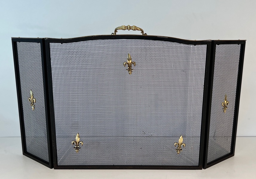 Neoclassical Style Firewall In Steel, Brass And Mesh With Fleurs De Lys ...