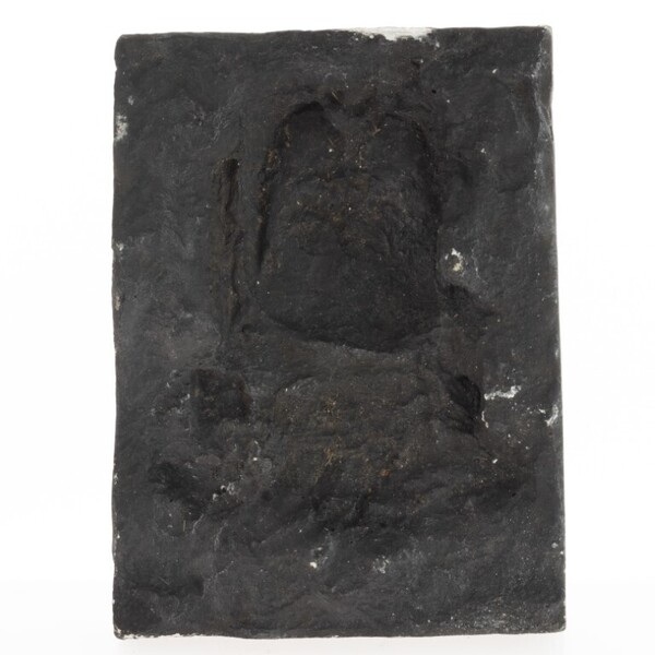 Plaster Cast Taxidermy Footprint Study | Vinterior