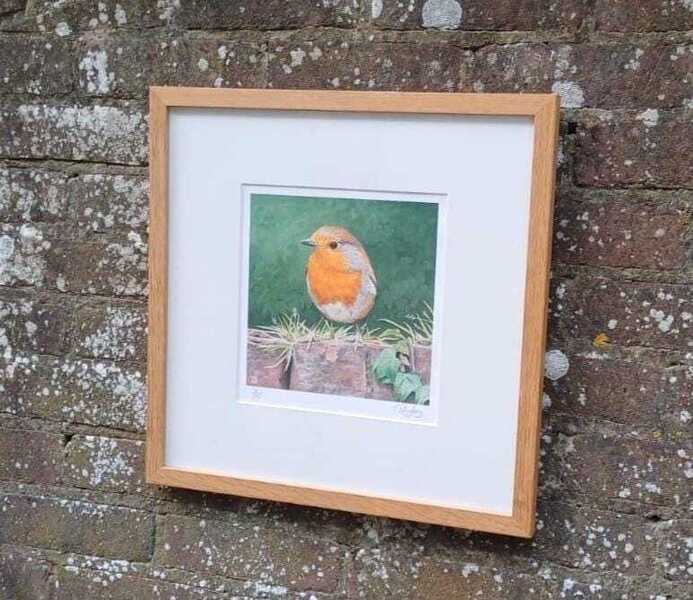 Limited Edition Print Of A Robin, Little Robin Red Breast Painted By T ...