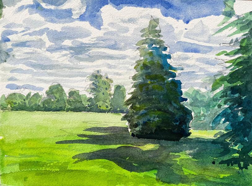John Steane (B.1931)university Parks Oxford Landscape With Pine Tree ...