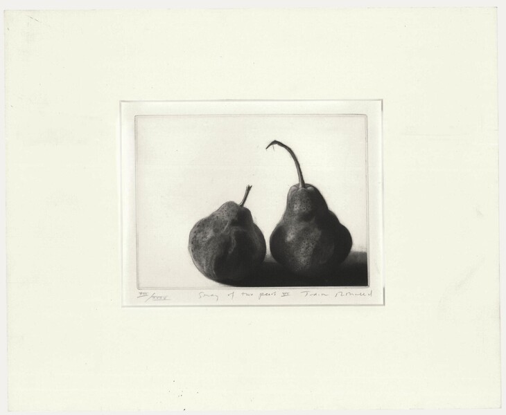 Judith Rothchild (B.1950) 20th Century Mezzotint, Study Of Two Pears ...