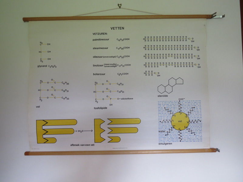 Vintage Roll Down Medical School Biochemistry Chart Of The Structure Of ...