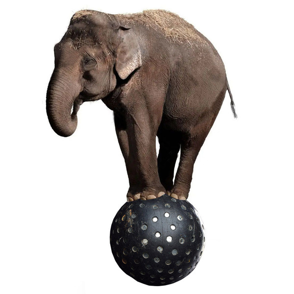 Circus Balls, Early 20th Century | Vinterior