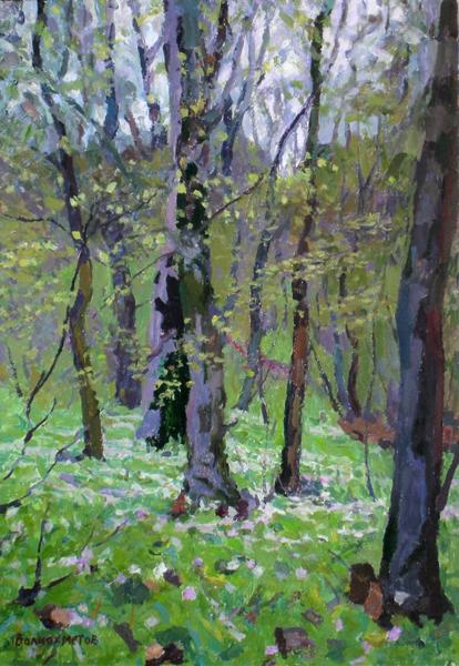 Valiahmetov Amir Hasnulovitch Spring In The Forest. 1978, Oil On ...