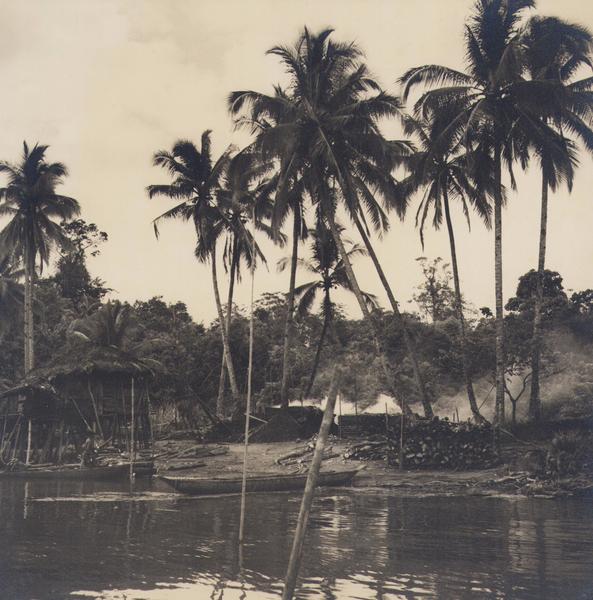 Hanna Seidel Colombia, Palm Trees, Black And White Photograph, 1960s ...